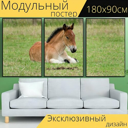 Модульный постер "Лошадь, жеребенок, лошади фермы" 180 x 90 см. для интерьера