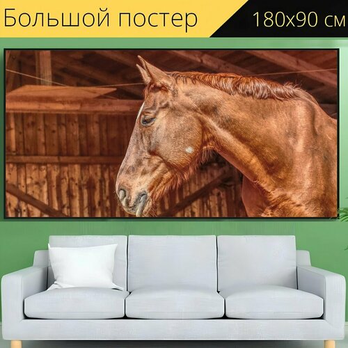 Большой постер "Лошадь, сарай, жеребец" 180 x 90 см. для интерьера