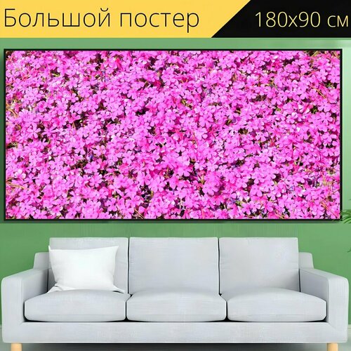 Большой постер "Яркие розовые цветочные, цветы, розовый" 180 x 90 см. для интерьера