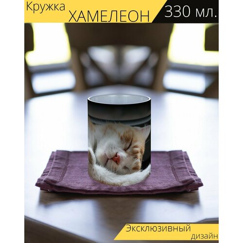 Кружка хамелеон с принтом "Кошка, апельсин, окно" 330 мл.