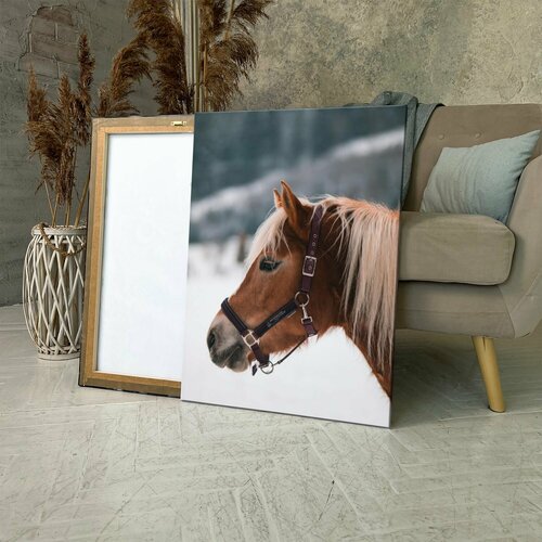 Картина на холсте (Лошадь с повязкой на голове) 60x80 см. Интерьерная, на стену.