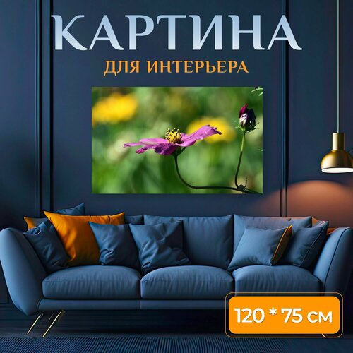 Картина на холсте "Цветок, лепестки, бутон" на подрамнике 120х75 см. для интерьера