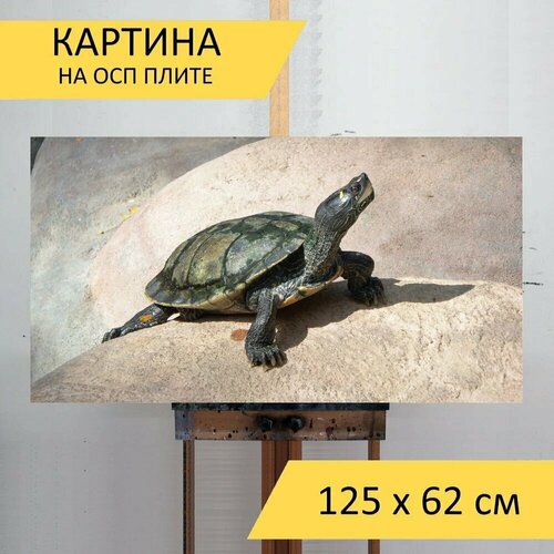 Картина на ОСП 125х62 см. "Черепаха, рептилия, животное" горизонтальная, для интерьера, с креплениями