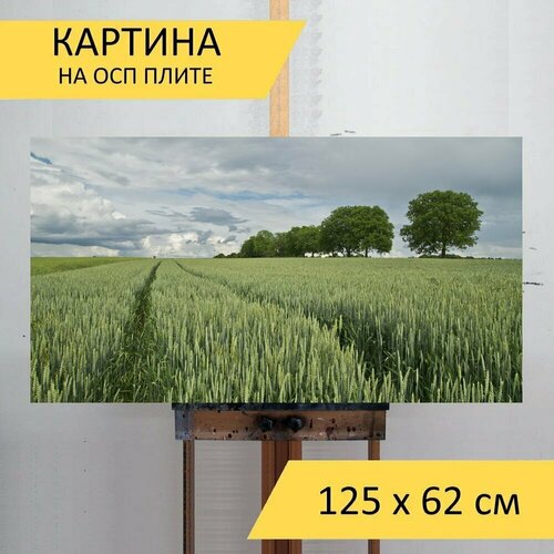 Картина на ОСП 125х62 см. "Пшеница, пшеничное поле, зерно" горизонтальная, для интерьера, с креплениями
