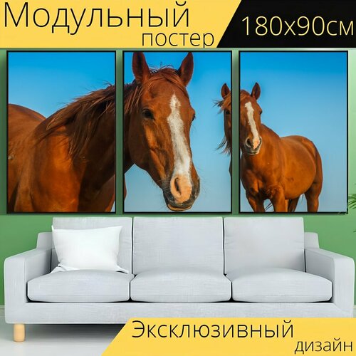 Модульный постер "Лошадей, свобода, ездить" 180 x 90 см. для интерьера