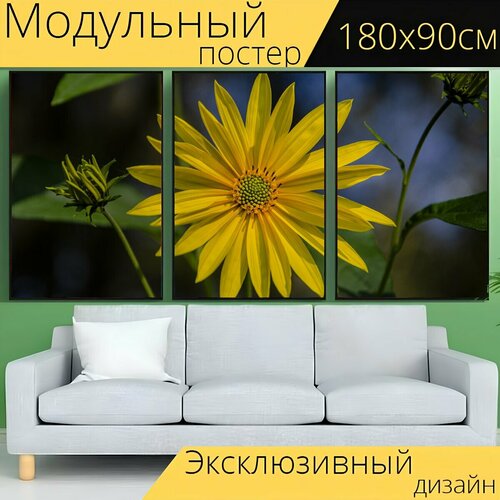 Модульный постер "Цветок, летом, природа" 180 x 90 см. для интерьера