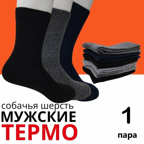 Термоноски , размер 41-46, мультиколор