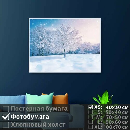 Постер на фотобумаге Лес Зимний Пейзаж 40х30 см ПолиЦентр