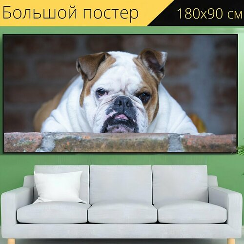 Большой постер "Собака, домашний питомец, бульдог" 180 x 90 см. для интерьера