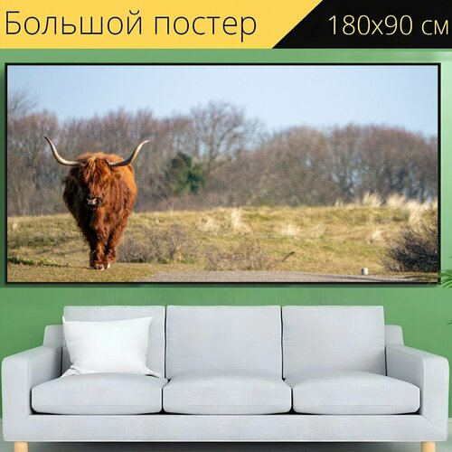 Большой постер "Корова, дикая природа, рога" 180 x 90 см. для интерьера