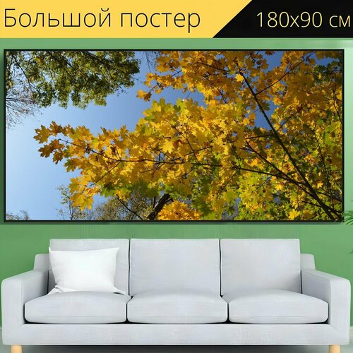 Большой постер "Природа, осень, деревья" 180 x 90 см. для интерьера