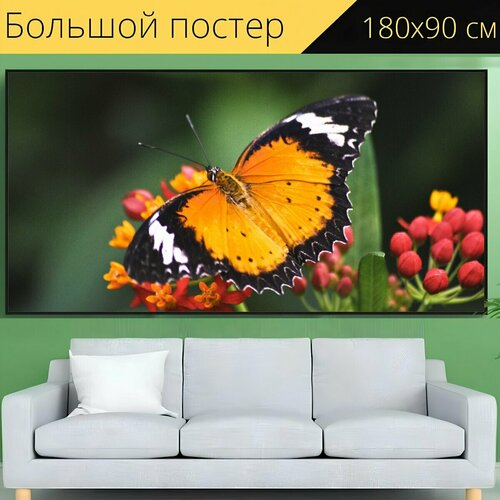 Большой постер "Бабочка, природа, фауна" 180 x 90 см. для интерьера