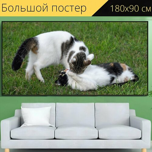 Большой постер "Кошка, две кошки, играть" 180 x 90 см. для интерьера