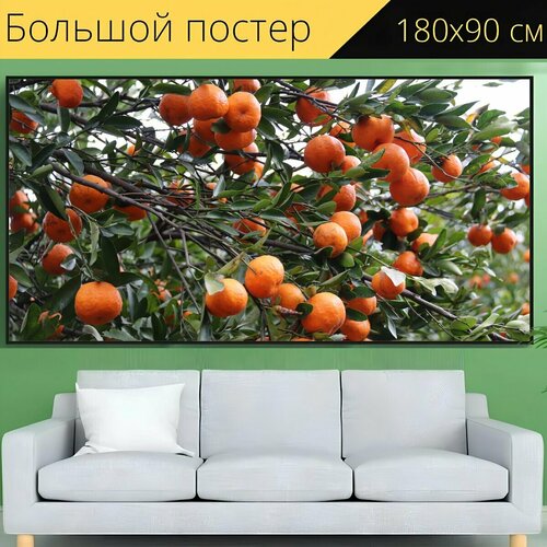 Большой постер "Апельсин, оранжевое растение, фрукты" 180 x 90 см. для интерьера