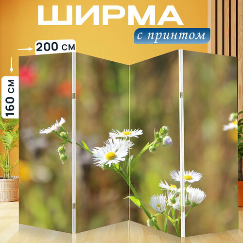 Ширма перегородка с принтом "Цветок, летом, природа" на холсте - 200x160 см. для зонирования, раскладная