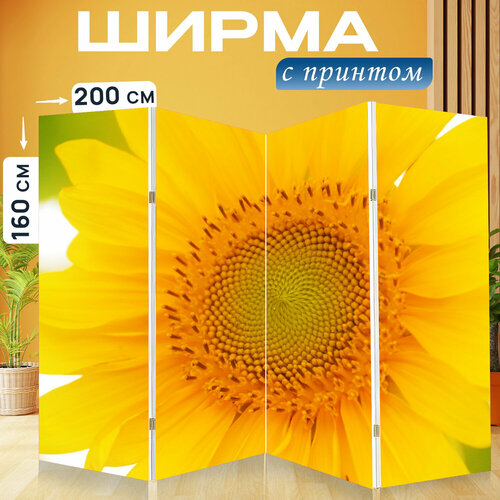 Ширма перегородка с принтом "Подсолнечник, цветок, солнце" на холсте - 200x160 см. для зонирования, раскладная