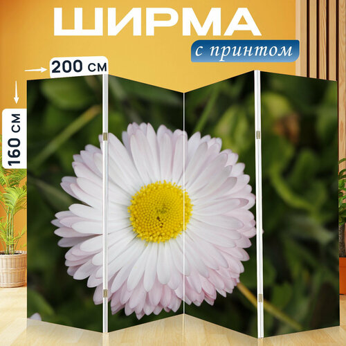 Ширма перегородка с принтом "Цветок, весна, природа" на холсте - 200x160 см. для зонирования, раскладная