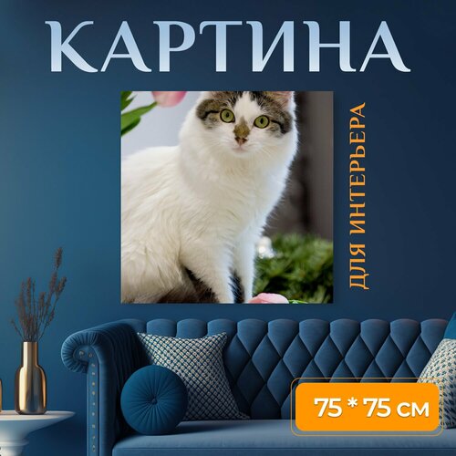 Картина на холсте "Кот, тюльпаны, портрет" на подрамнике 75х75 см. для интерьера