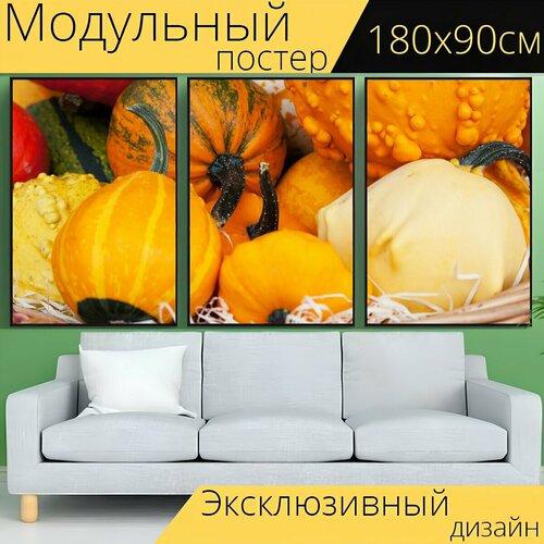 Модульный постер "Сельское хозяйство, осень, красочный" 180 x 90 см. для интерьера
