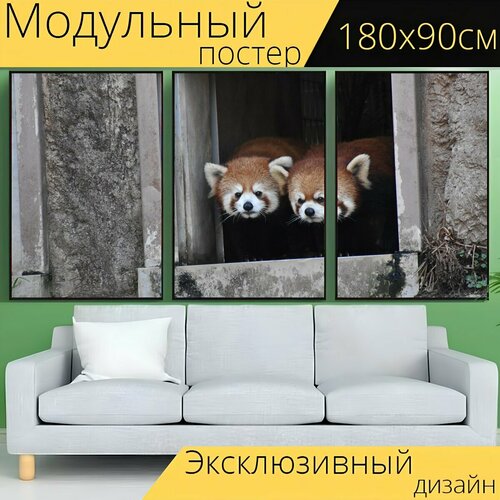 Модульный постер "Красный, панда, животное" 180 x 90 см. для интерьера