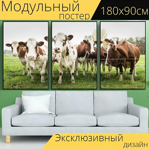 Модульный постер "Коровы, луг, крупный рогатый скот" 180 x 90 см. для интерьера