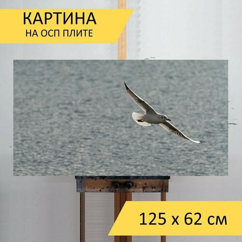 Картина на ОСП 125х62 см. "Птица, чайка, полет" горизонтальная, для интерьера, с креплениями