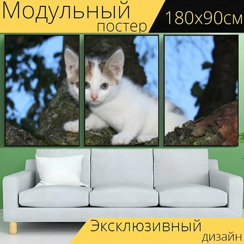 Модульный постер "Дерево, кот, животное" 180 x 90 см. для интерьера