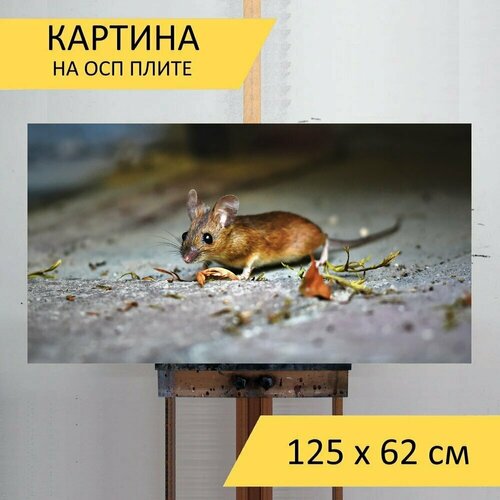 Картина на ОСП 125х62 см. "Мышь, деревянная мышь, грызун" горизонтальная, для интерьера, с креплениями