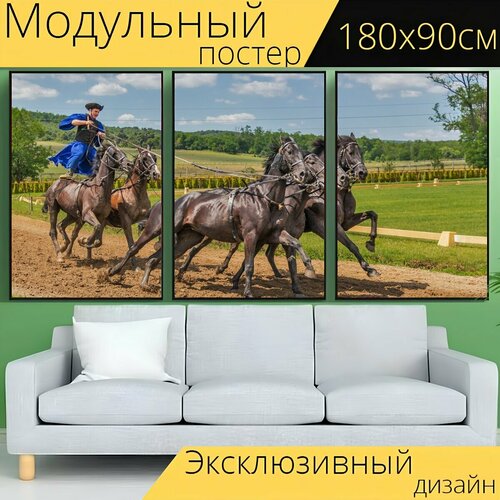 Модульный постер "Лошади, лошадь, традиция" 180 x 90 см. для интерьера