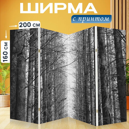 Ширма перегородка с принтом "Черно белое изображение, лес" на холсте - 200x160 см. для зонирования, раскладная