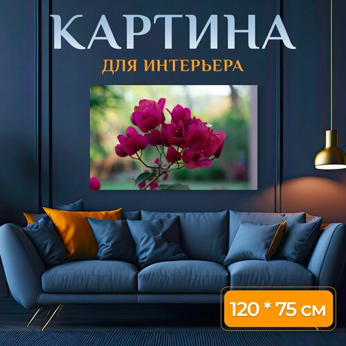 Картина на холсте "Цветок, сад, ботанический" на подрамнике 120х75 см. для интерьера