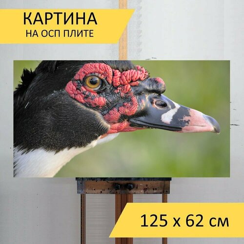 Картина на ОСП 125х62 см. "Московия, утка, голова" горизонтальная, для интерьера, с креплениями