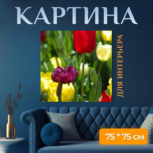 Картина на холсте "Тюльпан, красный, желтый" на подрамнике 75х75 см. для интерьера