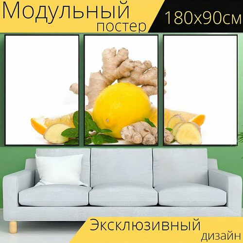 Модульный постер "Лимон, мята, имбирь" 180 x 90 см. для интерьера