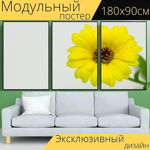 Модульный постер "Календула, цветок, желтый" 180 x 90 см. для интерьера