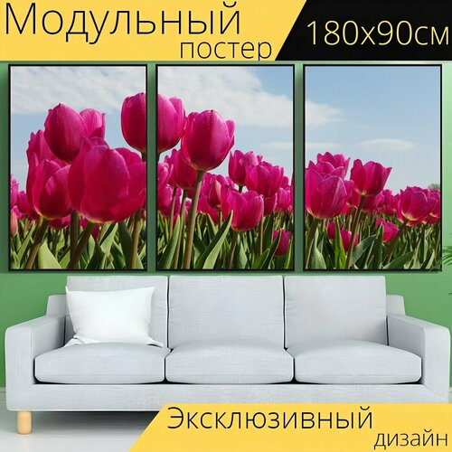 Модульный постер "Тюльпаны, луковицы, луковицы цветов" 180 x 90 см. для интерьера