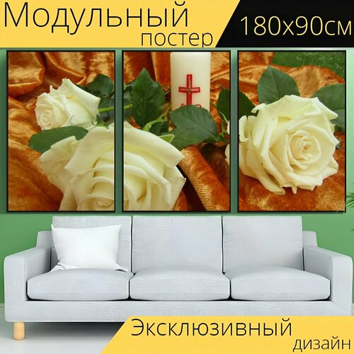 Модульный постер "Розы, белый, цветок" 180 x 90 см. для интерьера