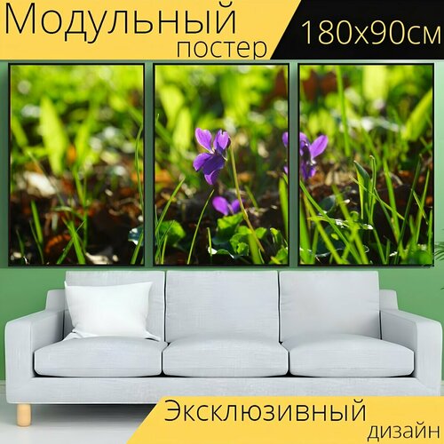 Модульный постер "Лесные фиалки, фиолетовый, цветок" 180 x 90 см. для интерьера