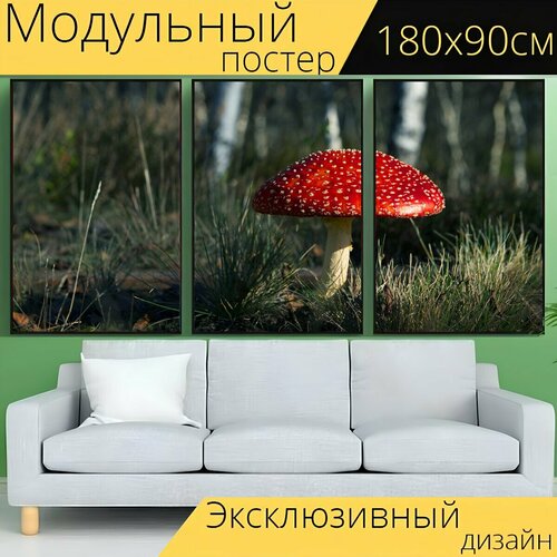 Модульный постер "Мухомор, гриб, лес" 180 x 90 см. для интерьера