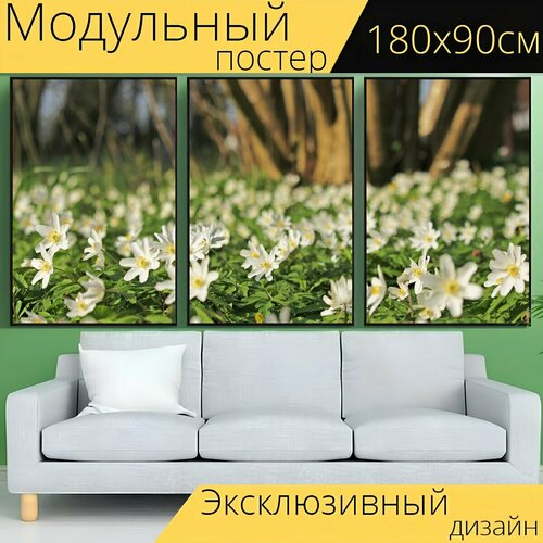 Модульный постер "Древесные анемоны, лесной цветок, белый" 180 x 90 см. для интерьера