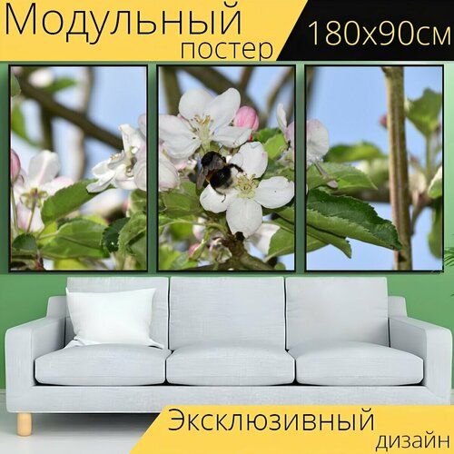 Модульный постер "Цветок, цветы яблони, цветочный бутон" 180 x 90 см. для интерьера
