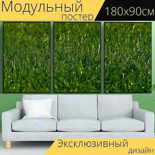 Модульный постер "Лужайка, утренняя роса, трава" 180 x 90 см. для интерьера