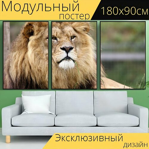 Модульный постер "Лев, большой кот, большой" 180 x 90 см. для интерьера
