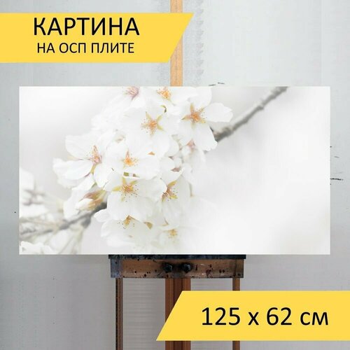 Картина на ОСП 125х62 см. "Цвести, цветок, белый" горизонтальная, для интерьера, с креплениями