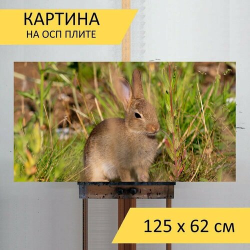 Картина на ОСП 125х62 см. "Кролик, животное, природа" горизонтальная, для интерьера, с креплениями