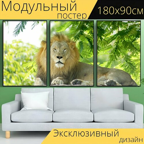 Модульный постер "Лев, мужчина, грива" 180 x 90 см. для интерьера