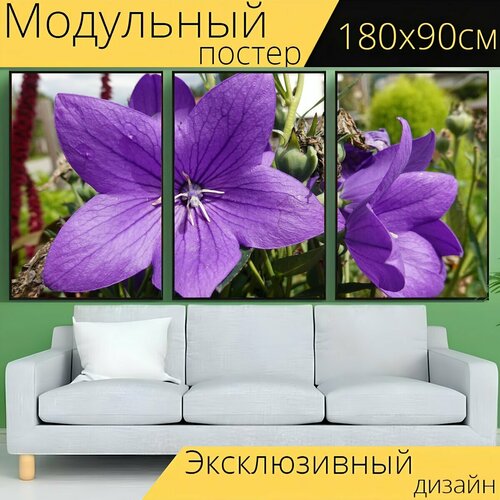 Модульный постер "Цветы, фиолетовые цветы, природа" 180 x 90 см. для интерьера