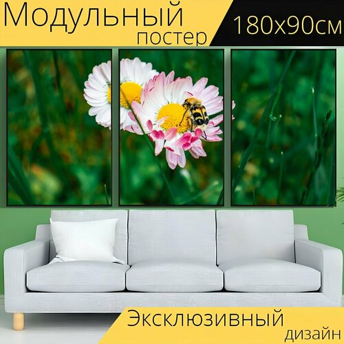 Модульный постер "Цветы, маргаритка, пчела" 180 x 90 см. для интерьера