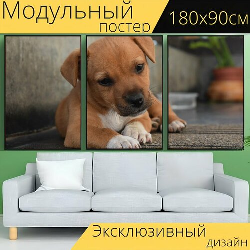 Модульный постер "Собака, кукуруза, домашний питомец" 180 x 90 см. для интерьера