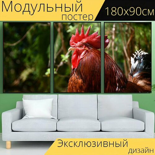 Модульный постер "Петух, курица, ферма" 180 x 90 см. для интерьера
